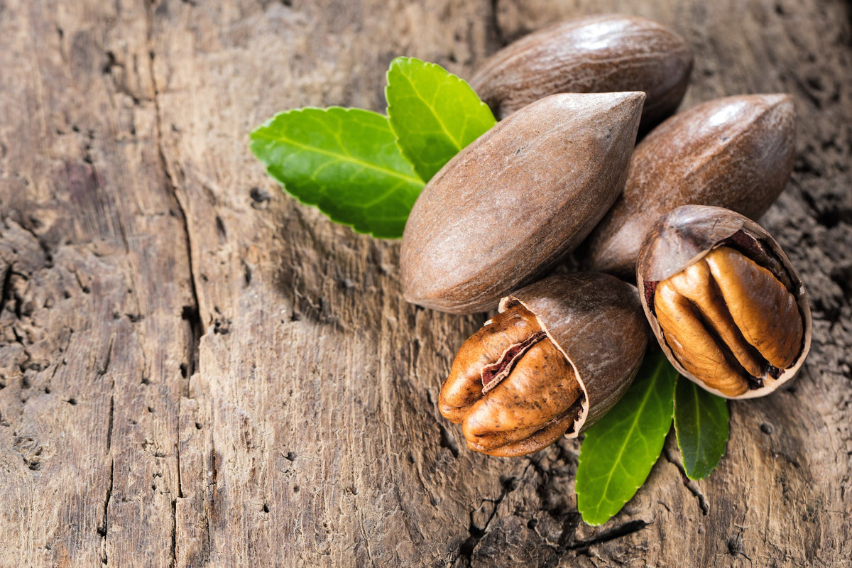 Pecan vs walnut comparison – Which Nut Is Right for You? – Tavazo