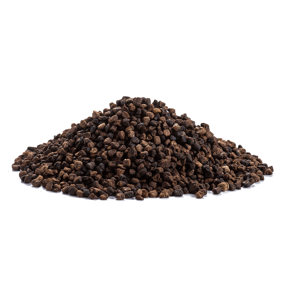 Leek Seeds (Tokhme Tareh) – Tavazo USA